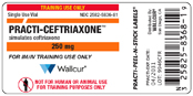 Practi-Peel-N-Stick Labels - Wallcur